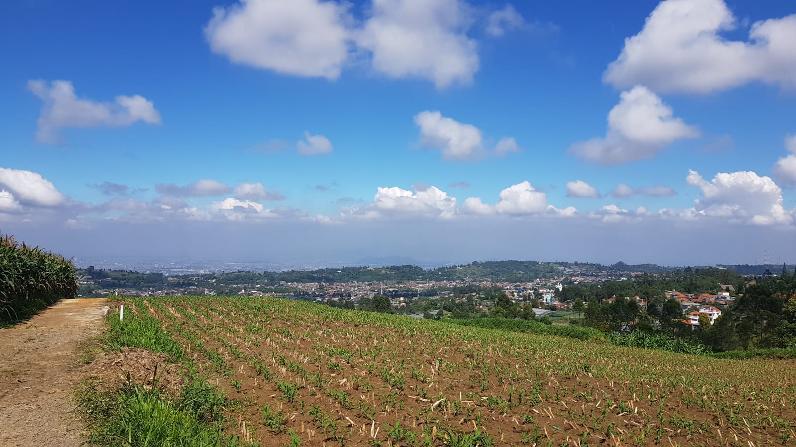 Panduan Lengkap Pemanfaatan Lahan Kosong Untuk Usaha dan Sumber ...